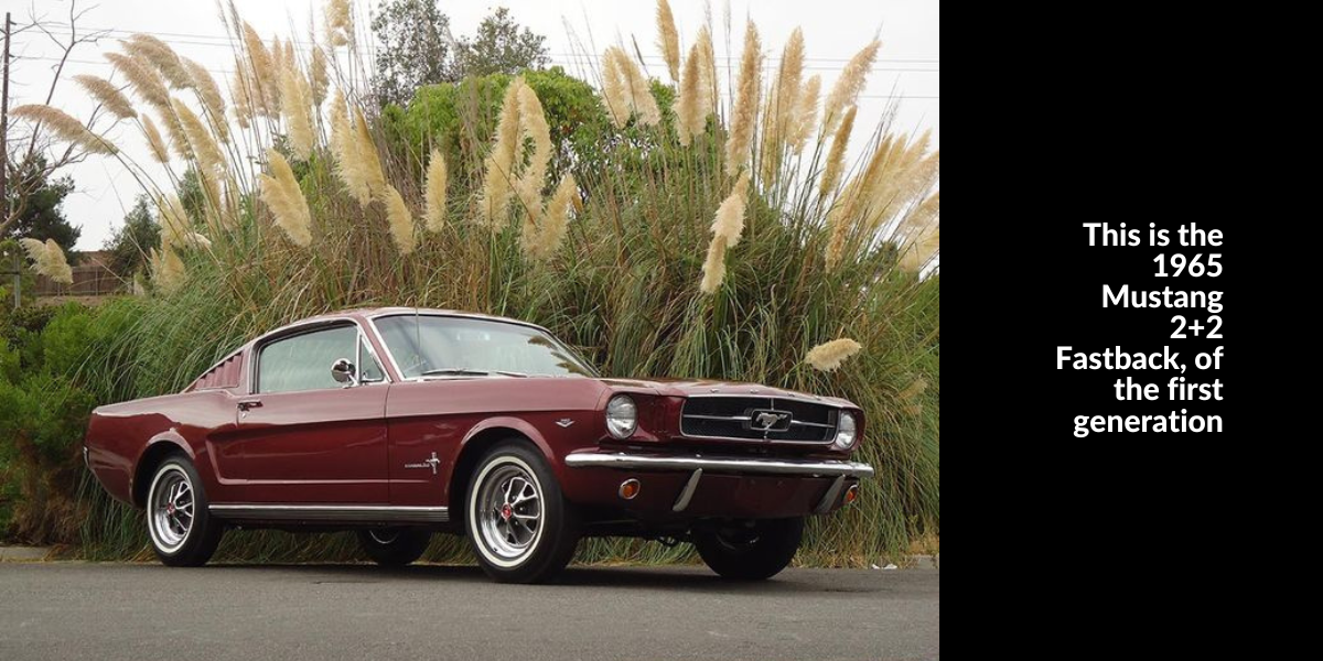 The Complete Mustang Guide